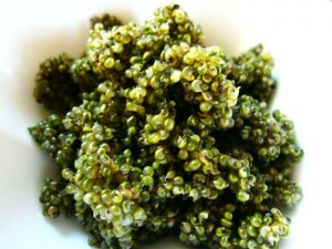 Tonburi: El caviar vegano para gourmets plant-based | Cultura Vegana