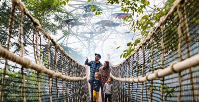 Cientos de árboles plantados para restaurar Eden Project | Cultura Vegana